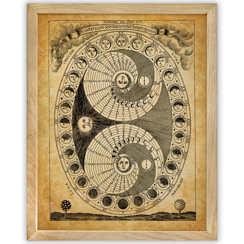 Astronomy Chart Phases Of The Moon - 11x14 Framed Poster- Vintage Moon ...