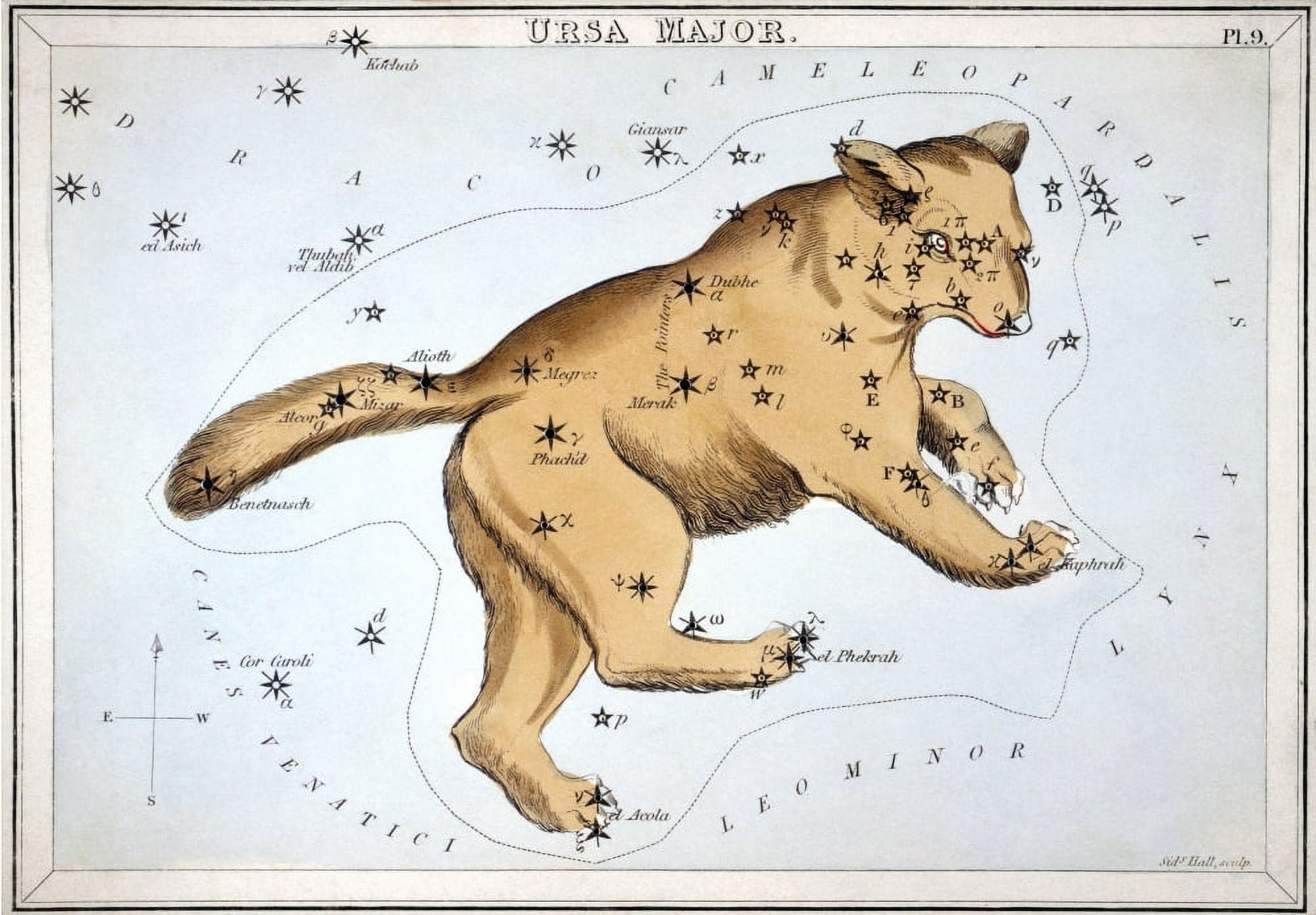 Astronomy: Ursa Major. /Nastronomical Chart Showing The Ursa Major ...