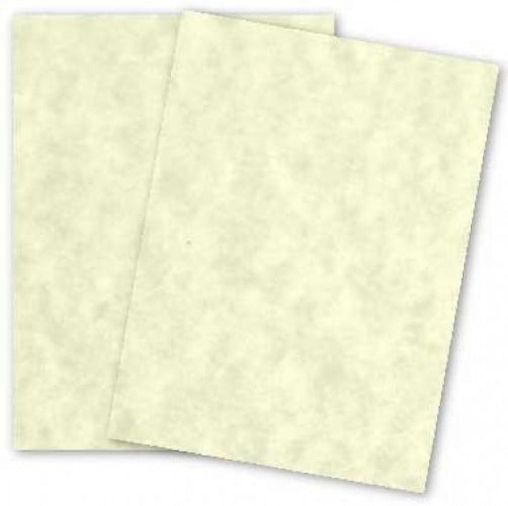 Astroparche - CELADON - 8.5 x 11 Parchment Card Stock - 65lb Cover ...