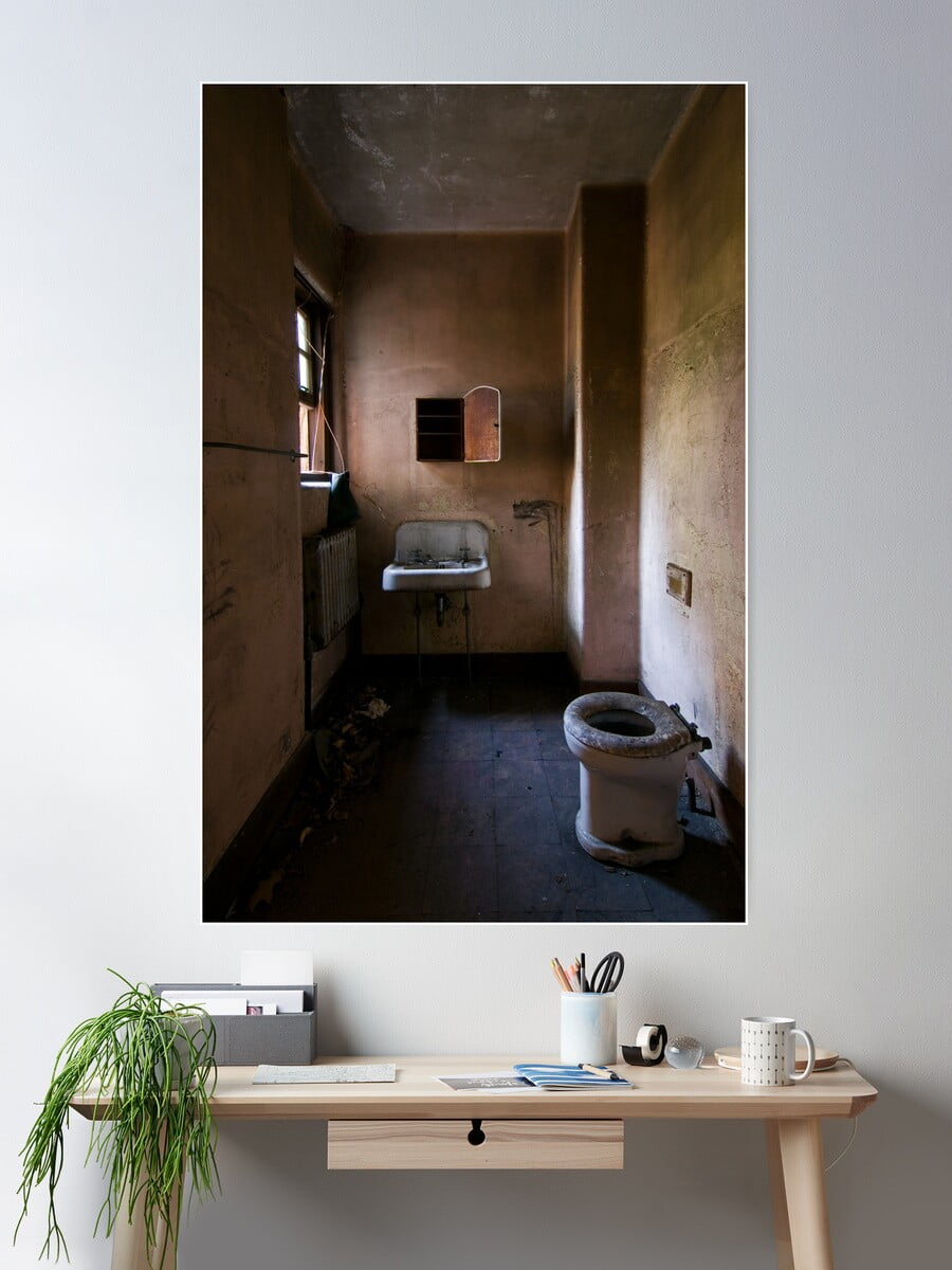 Asylum Bathroom Poster Wall Art, Modern Wall Decor For Living Room ...