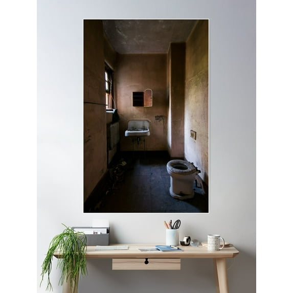Asylum Bathroom Poster Wall Art, Modern Wall Decor For Living Room ...
