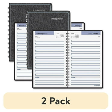 At-A-Glance Professional Daily Appointment Book - Walmart.com