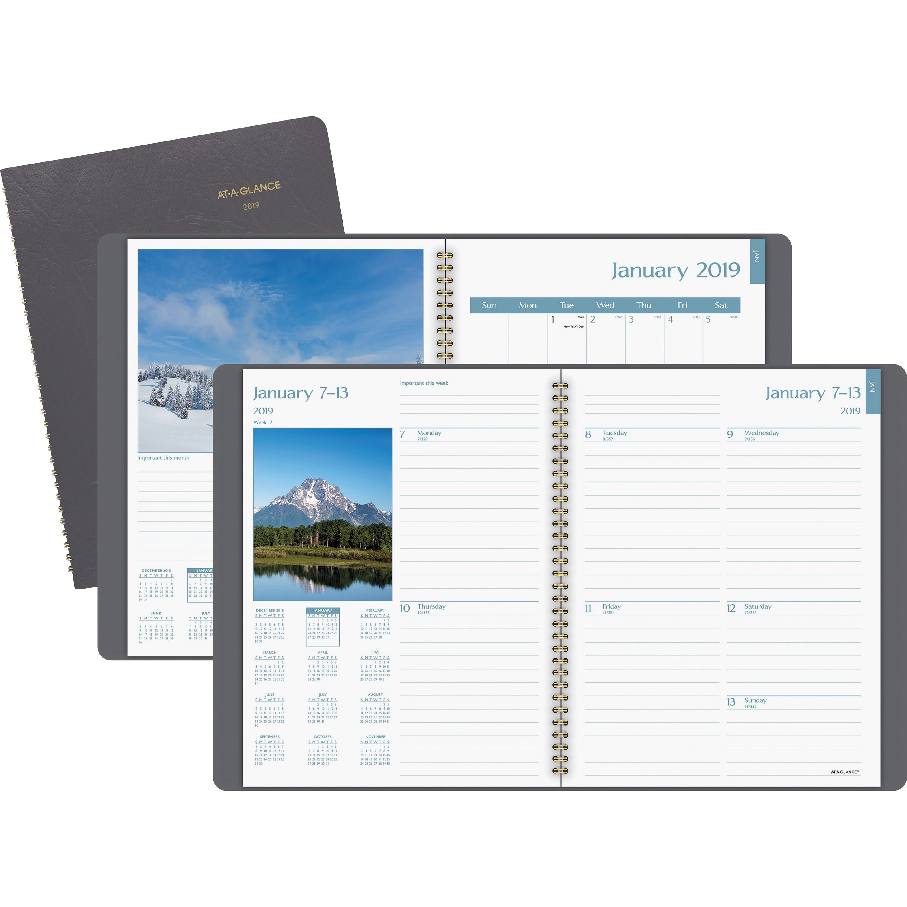 At-A-Glance DayMinder Scenic Weekly/Monthly Planner, Assorted - Walmart.com