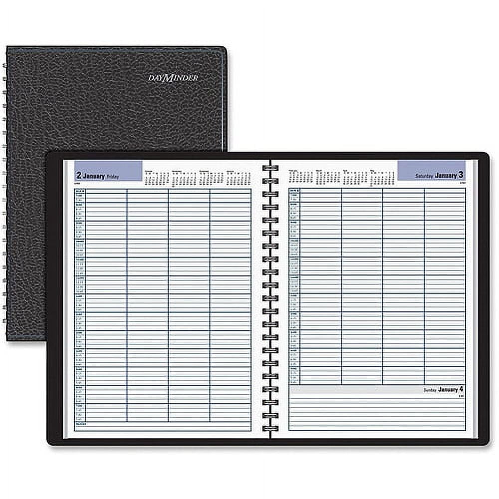 At-A-Glance Professional Daily Appointment Book - Walmart.com