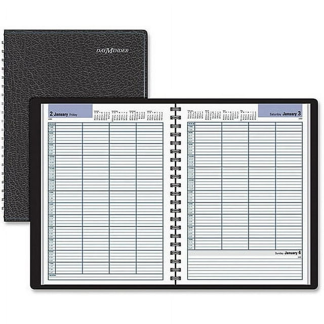 At-A-Glance Professional Daily Appointment Book - Walmart.com