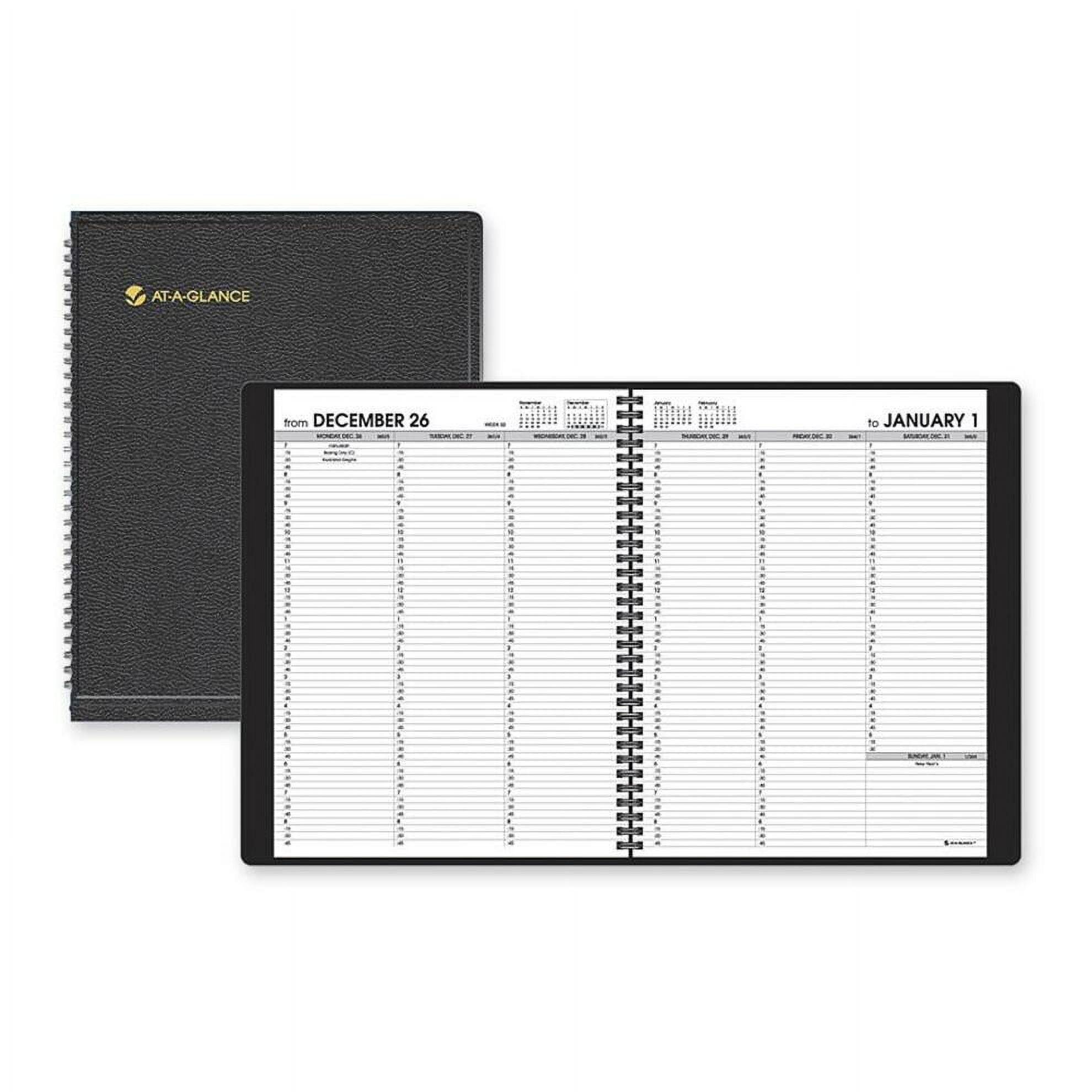 At-A-Glance 70-950-05-10 Professional Appointment Book - Walmart.com