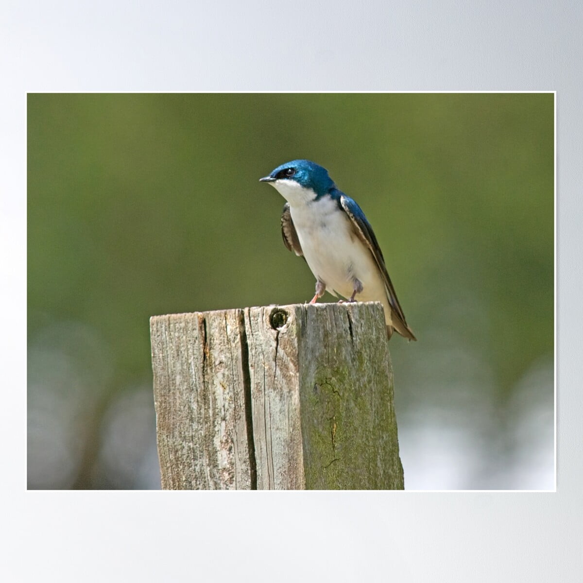 At Attention Poster Wall Art, Modern Wall Decor For Living Room Bedroom ...