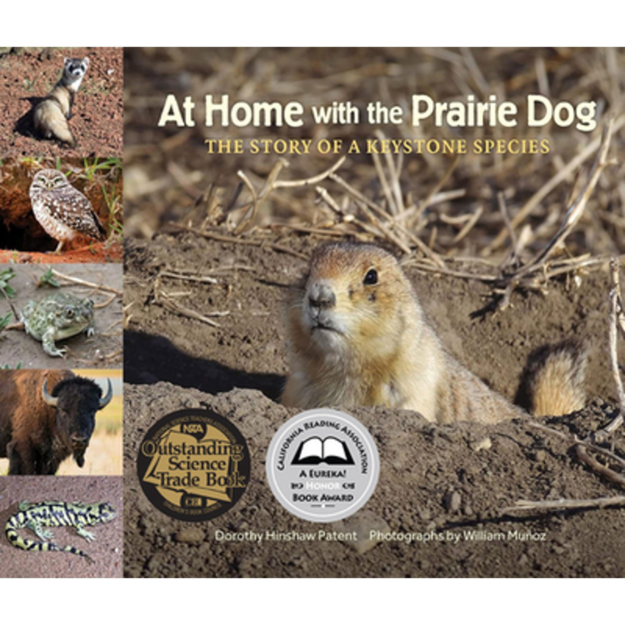 Pre-Owned At Home with the Prairie Dog : The Story of a Keystone ...