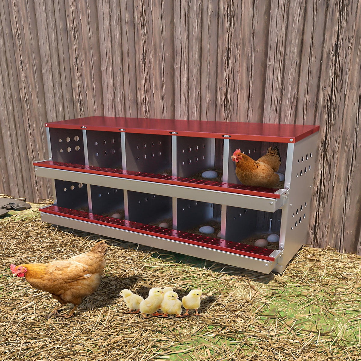 Ataucjin Chicken Nesting Box for Laying Eggs, Roll Away Chicken Laying ...