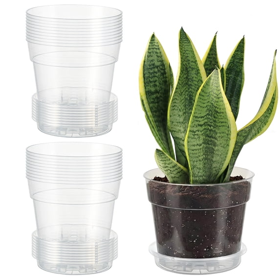 Ataujin 20 Pack 6 in Clear Nursery Pots for Plants with Saucers ...