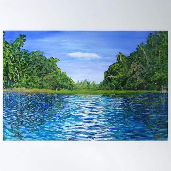 Atchafalaya Reflections Poster Wall Art Home Decor Cute Birthday Gift ...