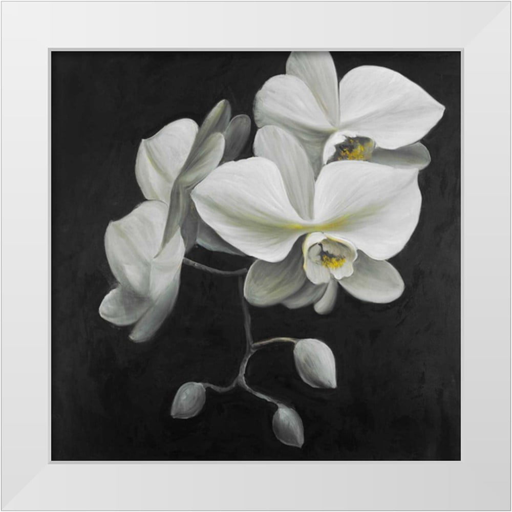 Atelier B Art Studio 12x12 White Modern Wood Framed Museum Art Print ...