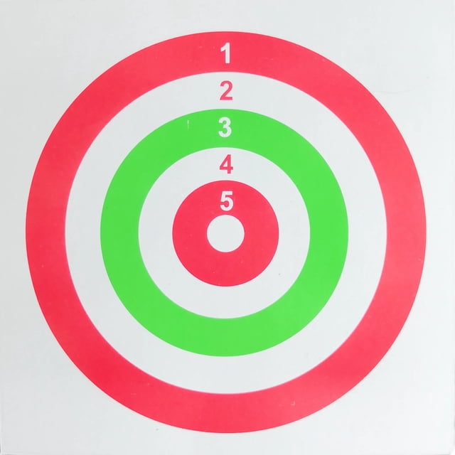 Atflbox 5.5 Inch BB Gun Target Papers for Pellet Trap Shooting Target ...