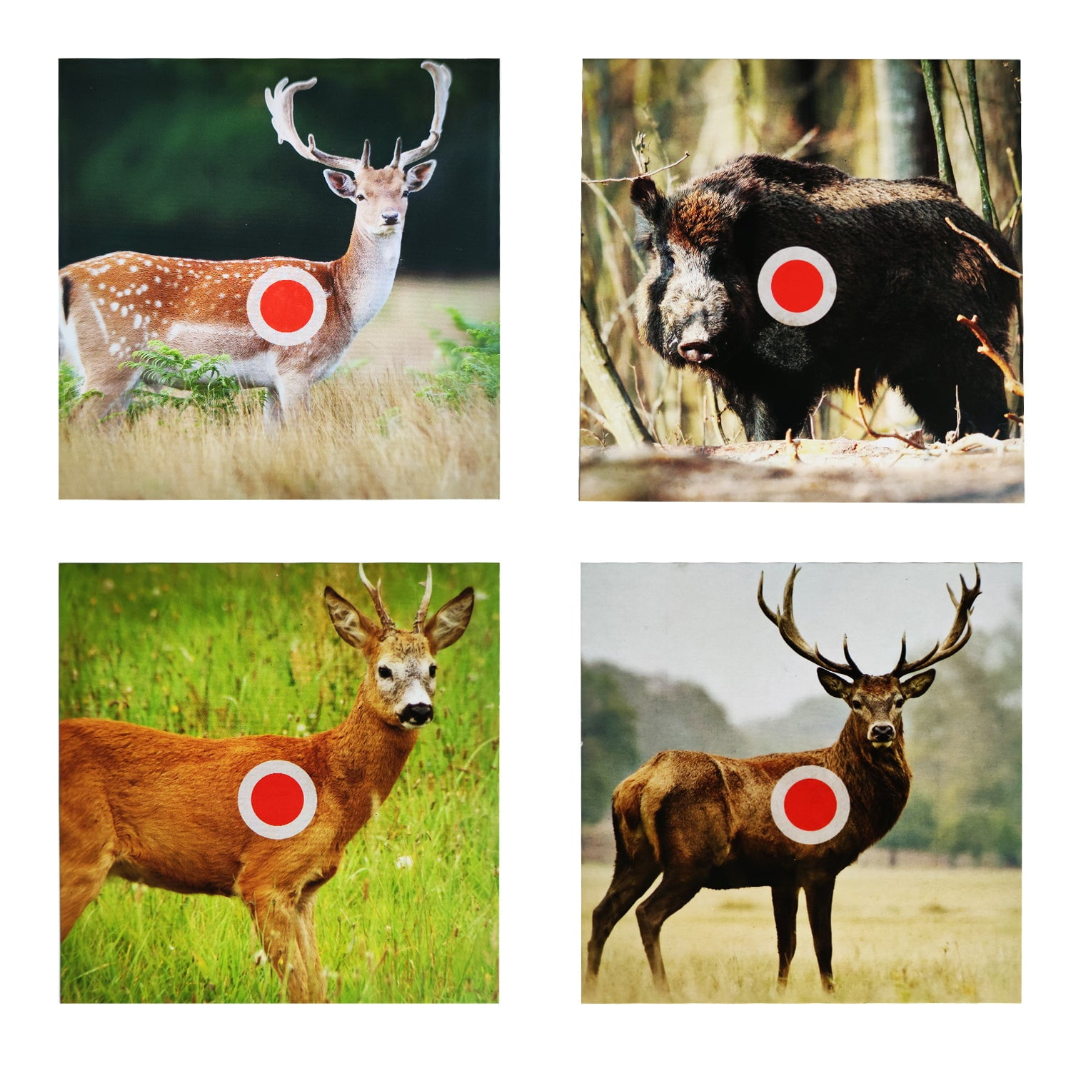 ATFLBOX Animals Paper Targets for BB Pellet Trap Shooting (100 Pack ...