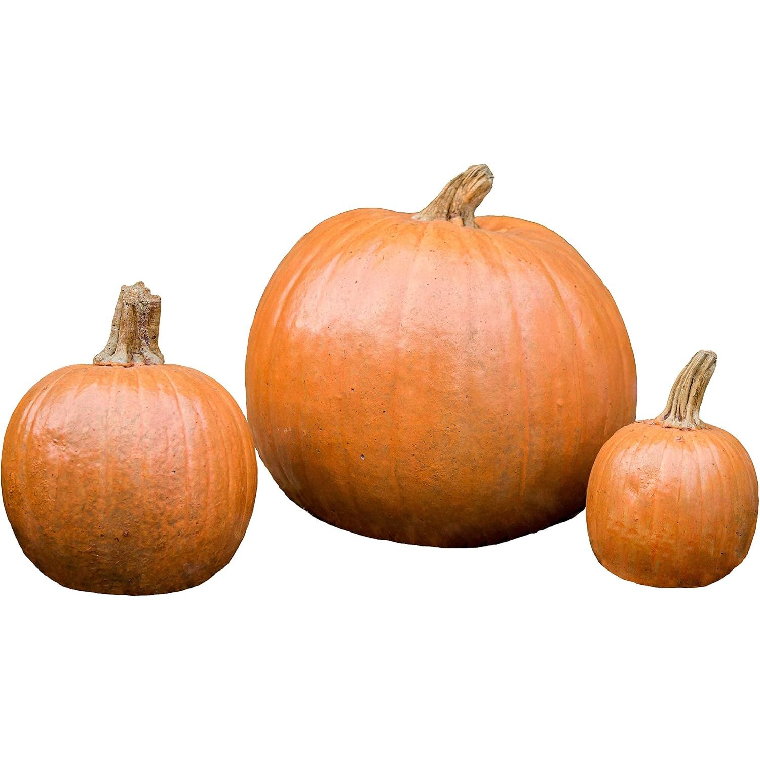 Athena Garden Cast Stone Pumpkins Garden Statue - Set of 3 - Walmart.com