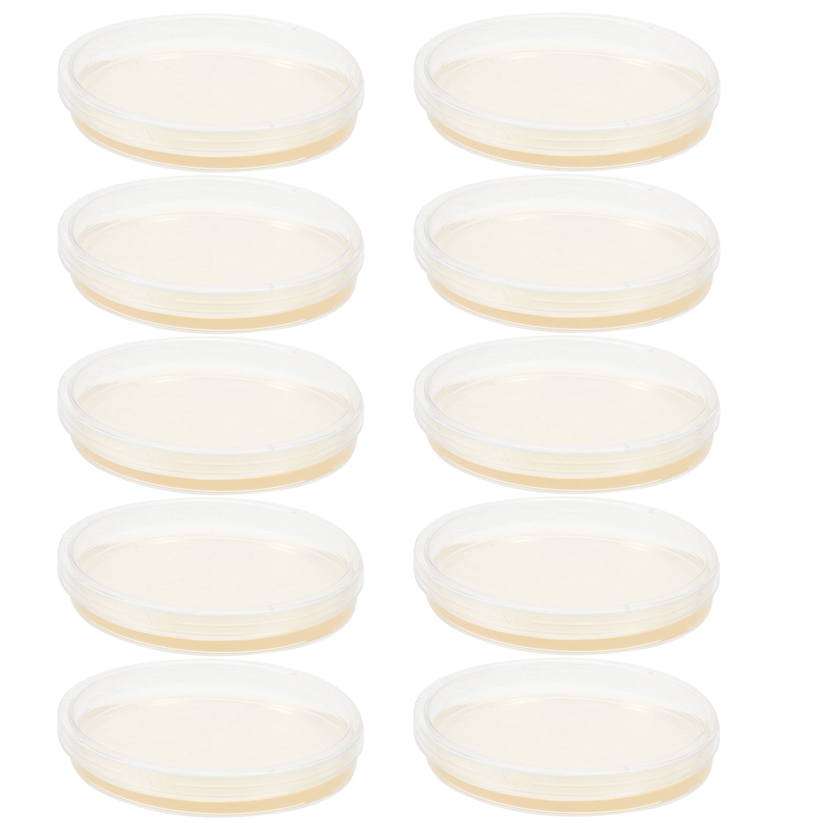 Athitqq 10pcs Agar Plates Portable Prepoured Agar Petri Dishes Science ...