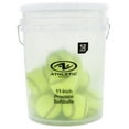 Free Shipping! Athletic Works Softballs Set of 12 in 5-Gallon Bucket ...