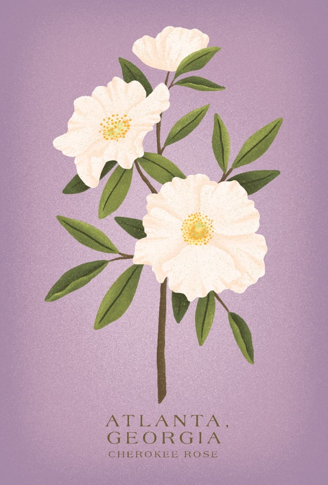 Atlanta, Georgia, Vintage Flora, State Series, Cherokee Rose (12x18 ...