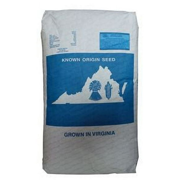 Shop Durable Barley Seeds for Gardening and Brewing in Patio Garden