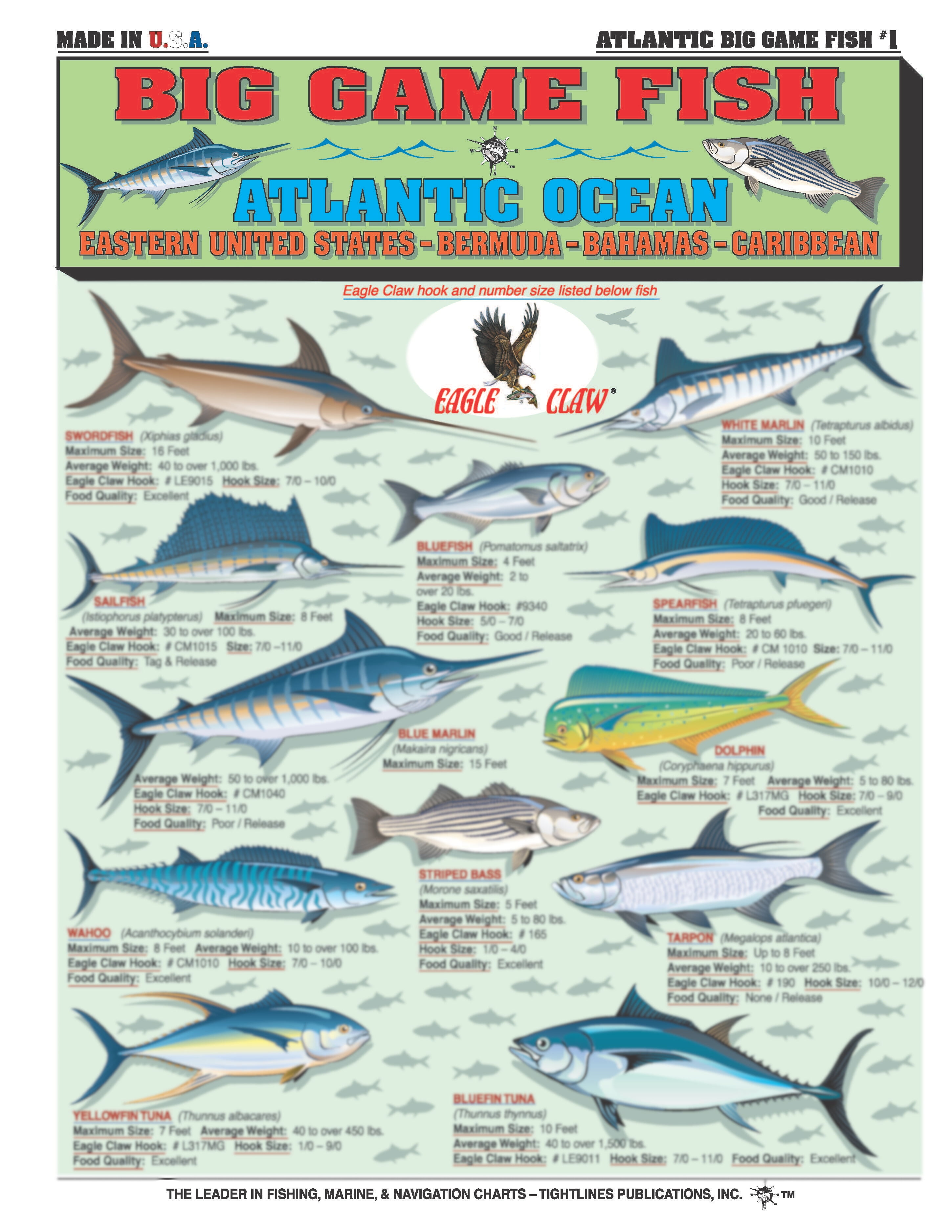 Atlantic Ocean Big Game Fish Identification #1 (Eastern United States ...