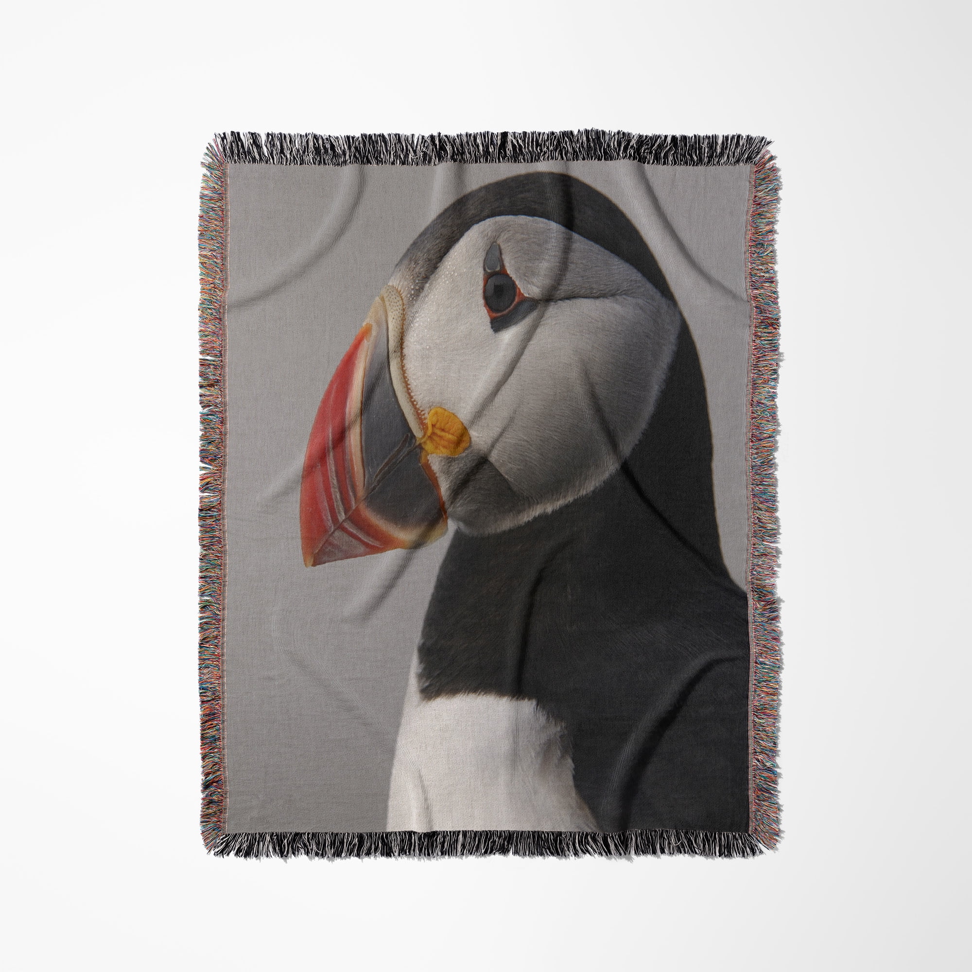 Atlantic Puffin Birds, Machias Seal Isl, Me - Us20 Krs0022 - Keith And ...