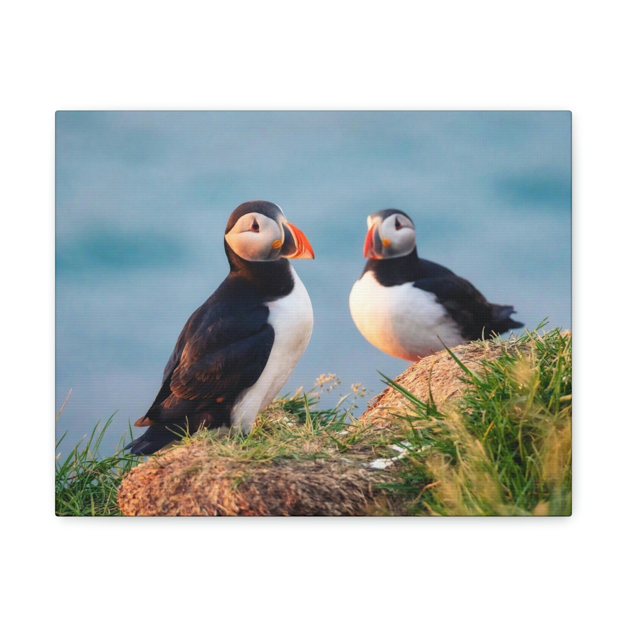 Atlantic Puffin Couple Atlantic Puffin Troop Print Animal Wall Art ...