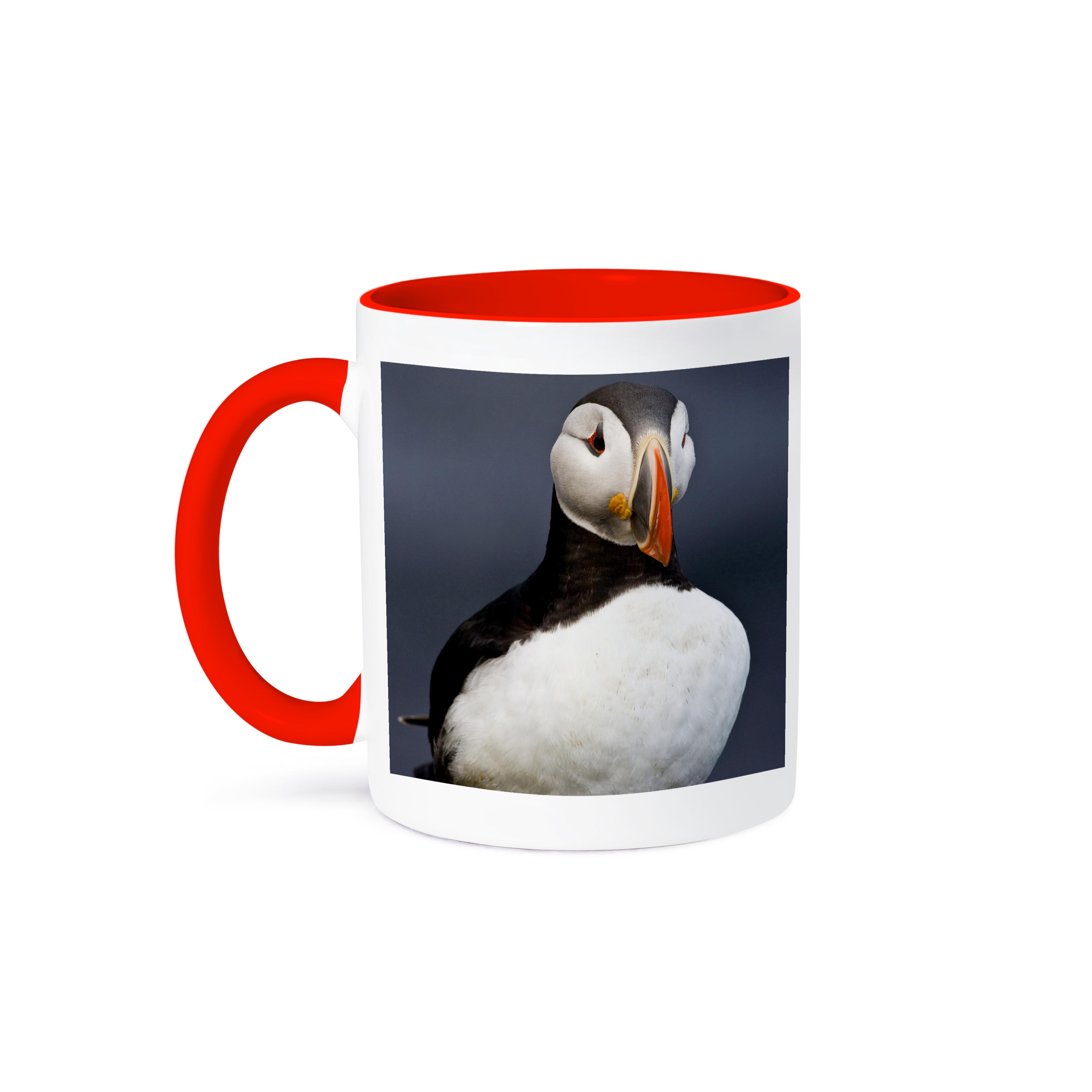 3dRose, Atlantic Puffin, Latrabjerg peninsula, Iceland - EU14 RBE0042 ...