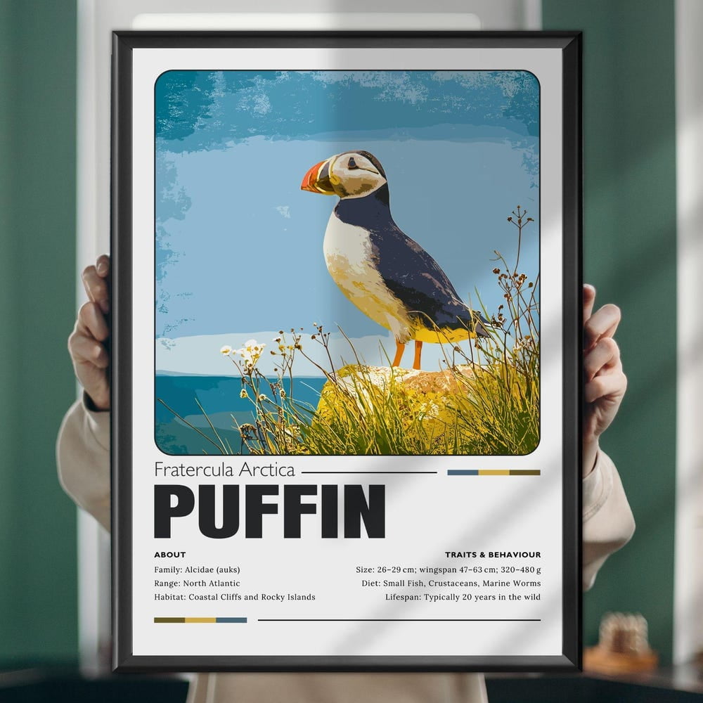 Atlantic Puffin Painting Poster: Vintage Coastal Wall Art UNFRAMED ...