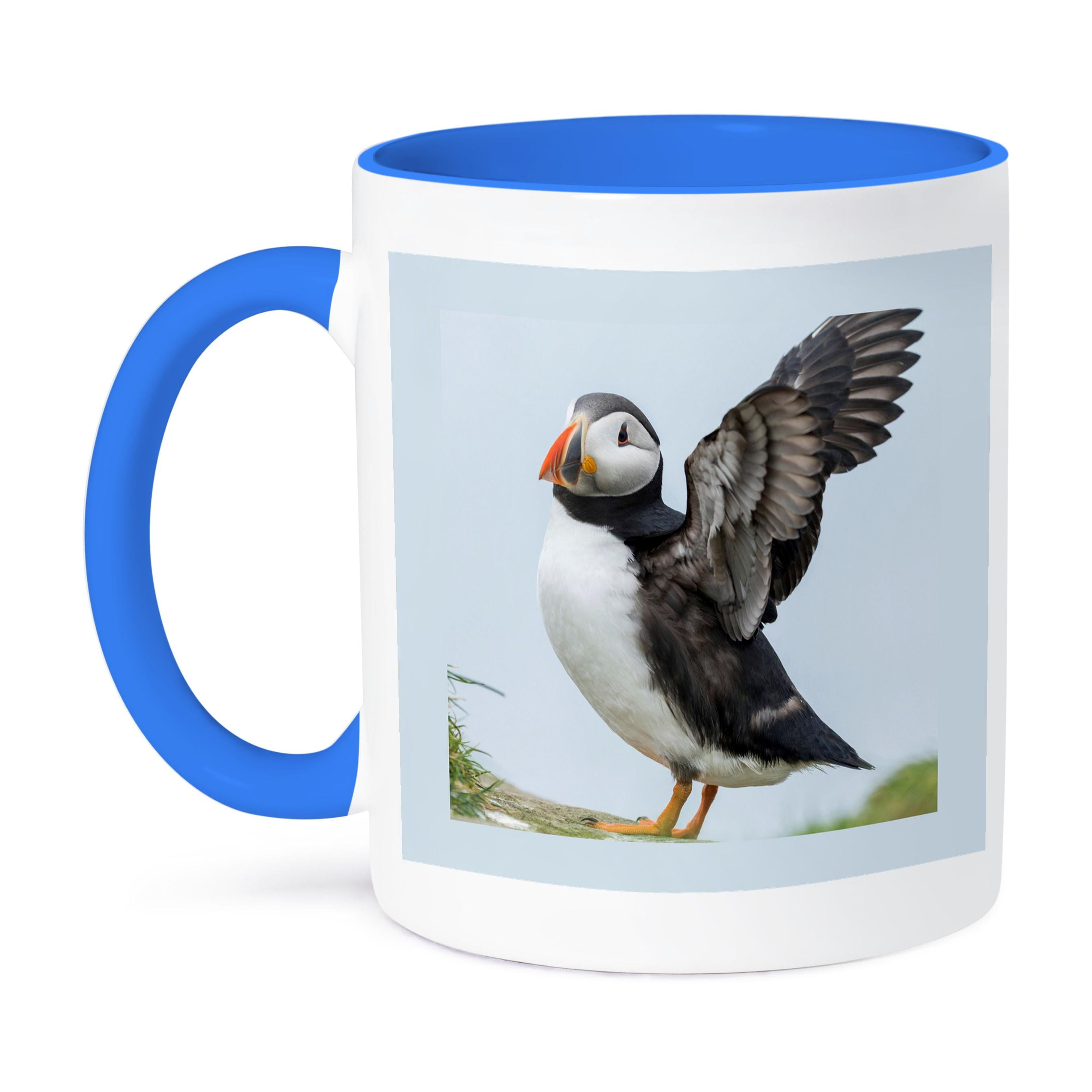Atlantic Puffin Stretches, Mykines, Faroe Islands, Denmark, 15oz Two ...