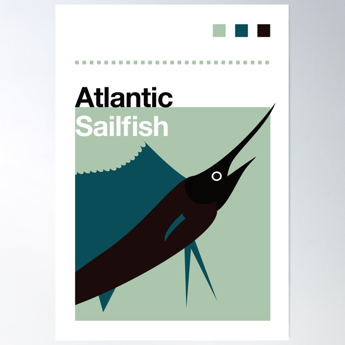 Atlantic Sailfish (Istiophorus Albicans) Poster Wall Art, Modern Wall ...