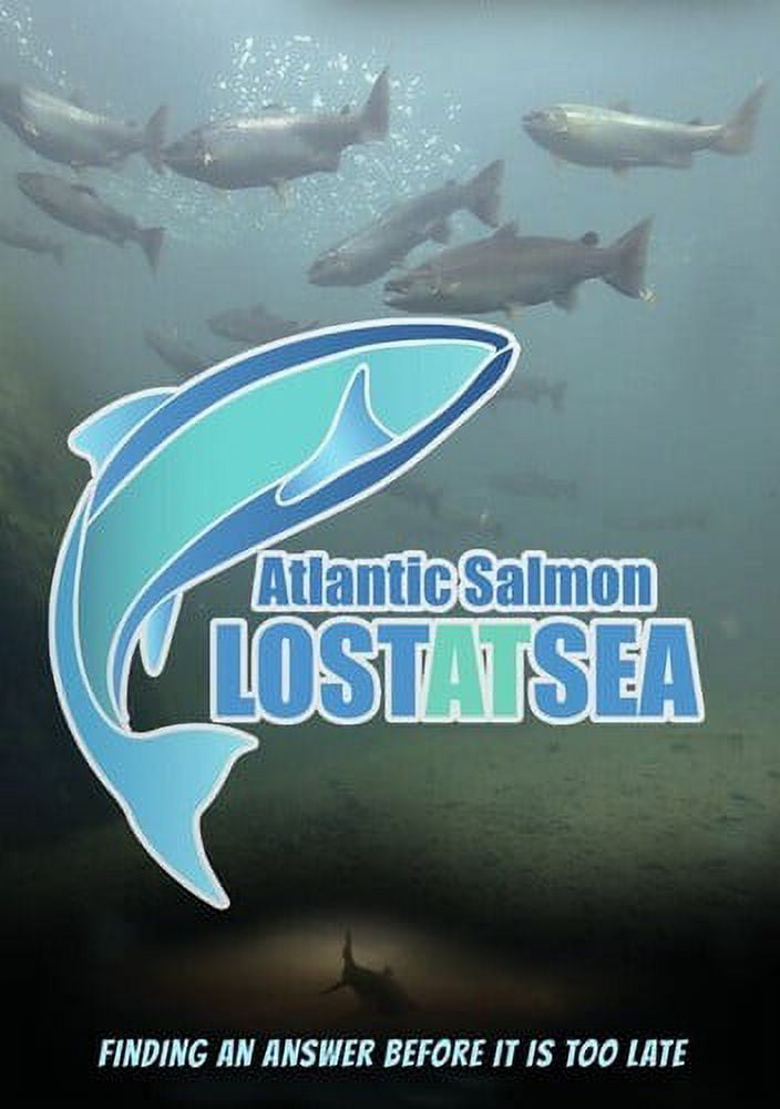 Atlantic Salmon - Lost At Sea (DVD), Green Planet Films, Documentary - Walmart.com