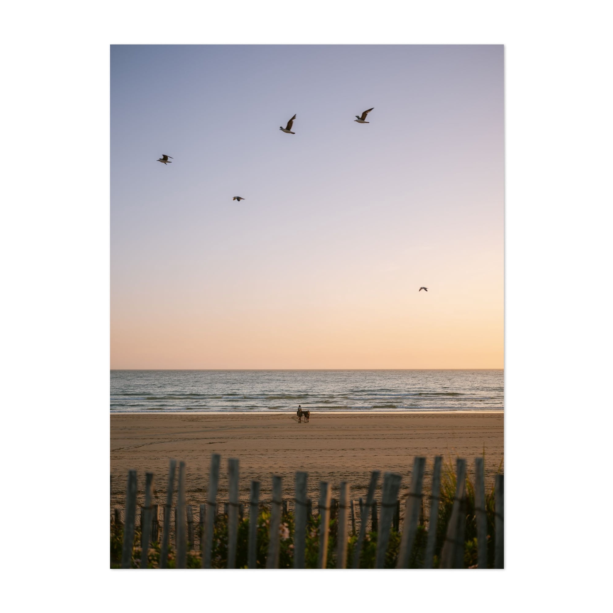 Atlantic Sunset - Tamraght Souss-Massa Morocco Photography Beach Sunset ...