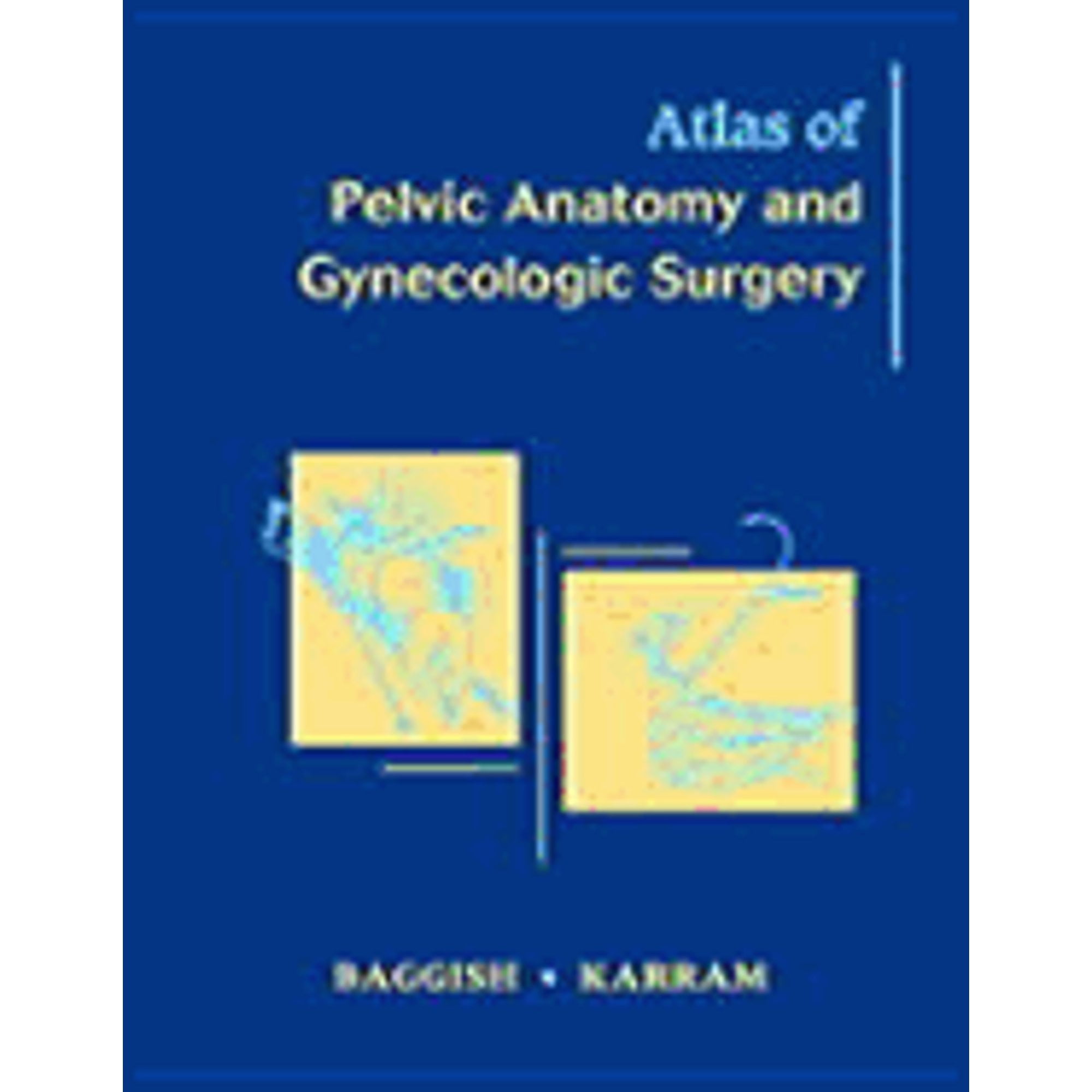 Pre-Owned Atlas of Pelvic Anatomy and Gynecologic Surgery (Hardcover ...
