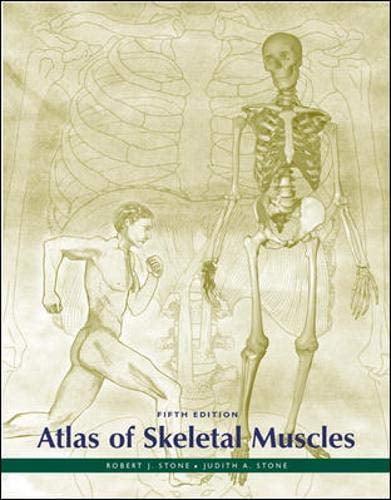 Atlas Muscle