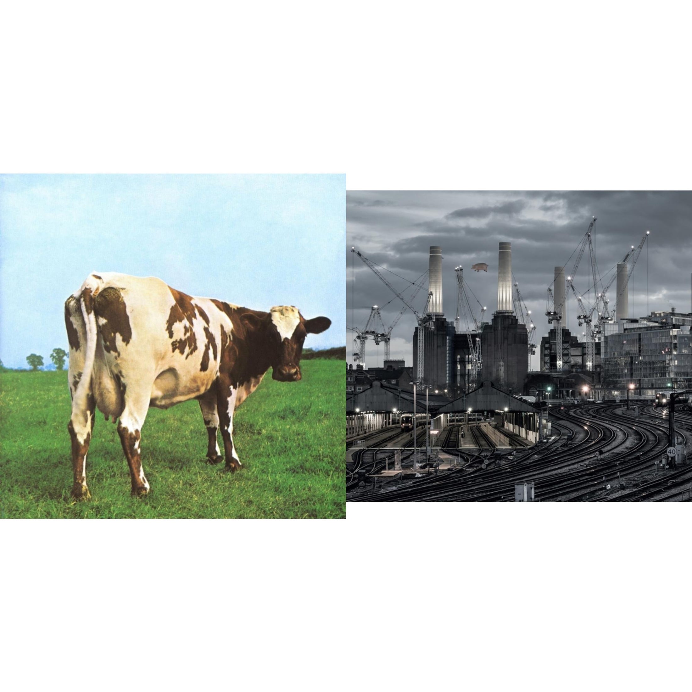 Atom Heart Mother (180G/Gatefold/2016 Version) & Animals (2018 Remix ...