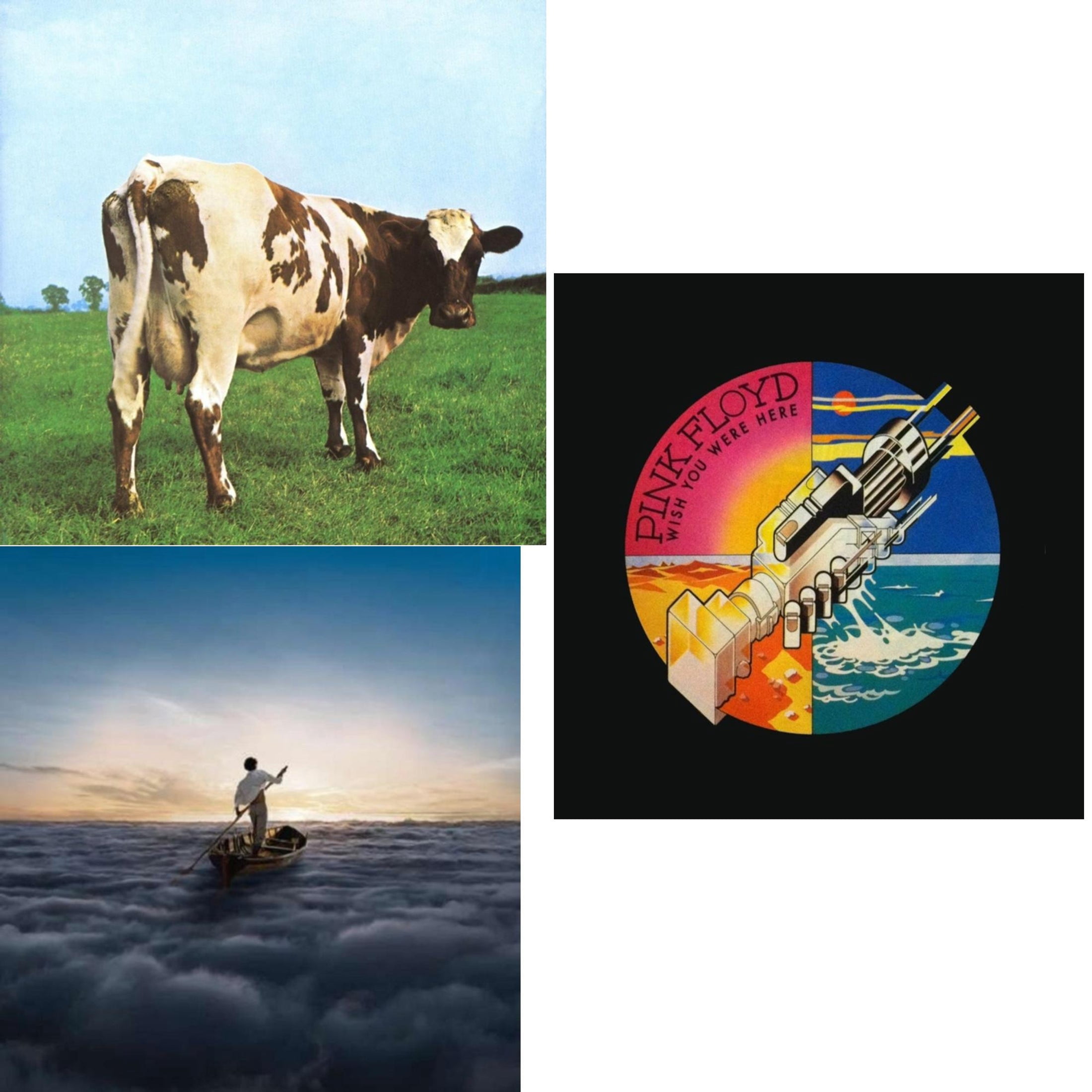 Atom Heart Mother (180G/Gatefold/2016 Version) & Endless River (2LP ...