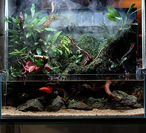 Atomizer Mist Maker Kit w/Lid - Fogger for Aquarium, Terrarium ...