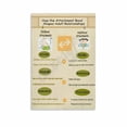 Attachment Bond Shapes Adult Relationships Poster Therapist Office Wall ...