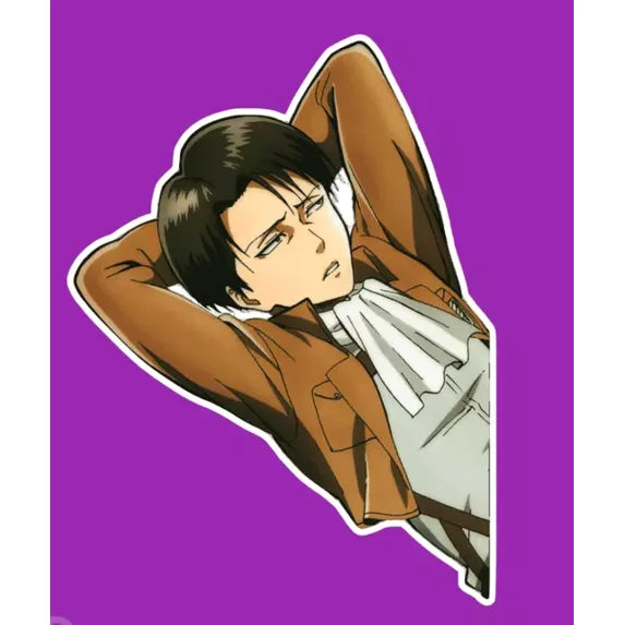 Attack On Titan Levi Ackerman Sticker Phone Decal Water Bottle Stickers ...