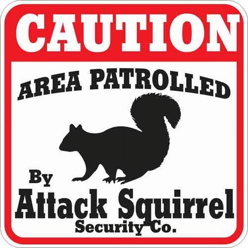 Attack Squirrels