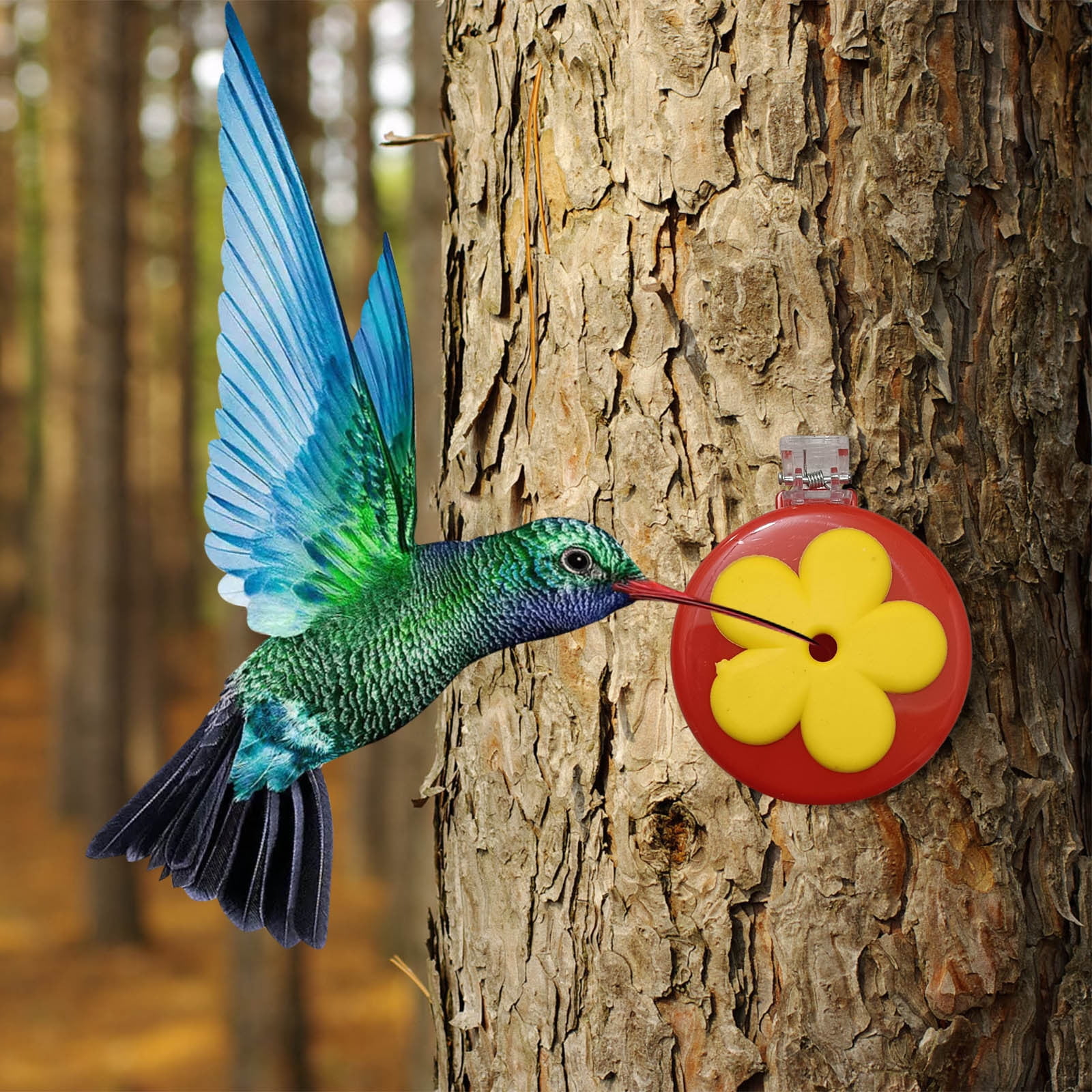 Attract Beautiful Hummingbirds to Your Garden - Outdoor Garden ...