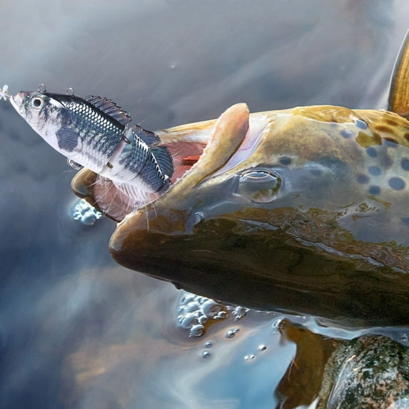 & Attractants Swimming Fishing Robotic Upgraded Hard Freshwater ...