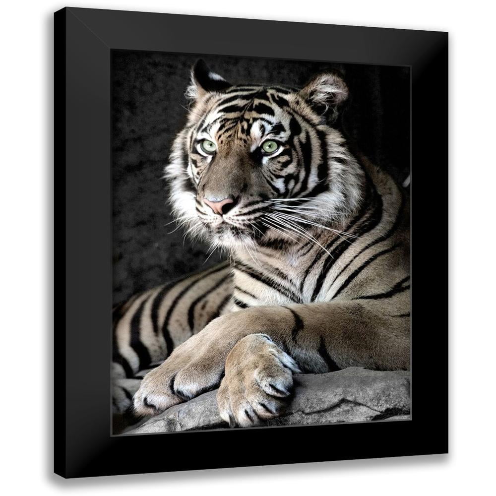 Aubert, Tananarive 15x18 Black Modern Framed Museum Art Print Titled ...