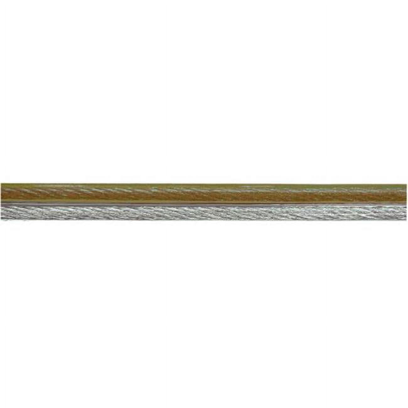 Audiopipe CABLE14100 14-Gauge 100-Foot Clear Speaker Wire – 2-Conductor ...