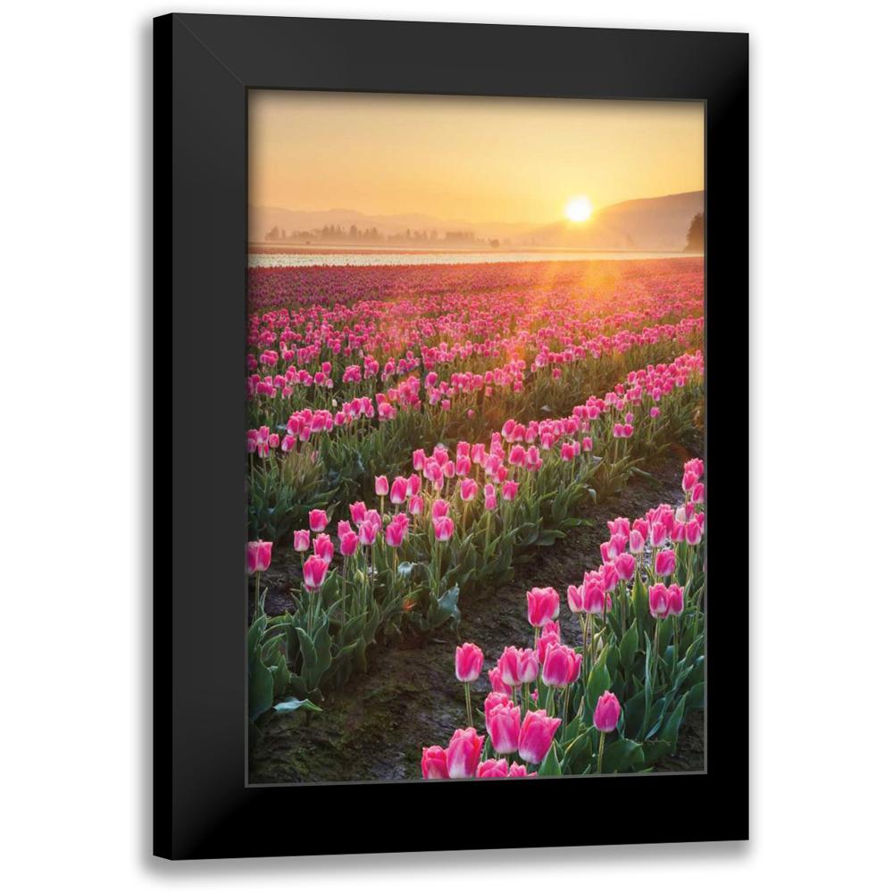 Audit, Lisa 11x14 Black Modern Framed Museum Art Print Titled - Skagit ...