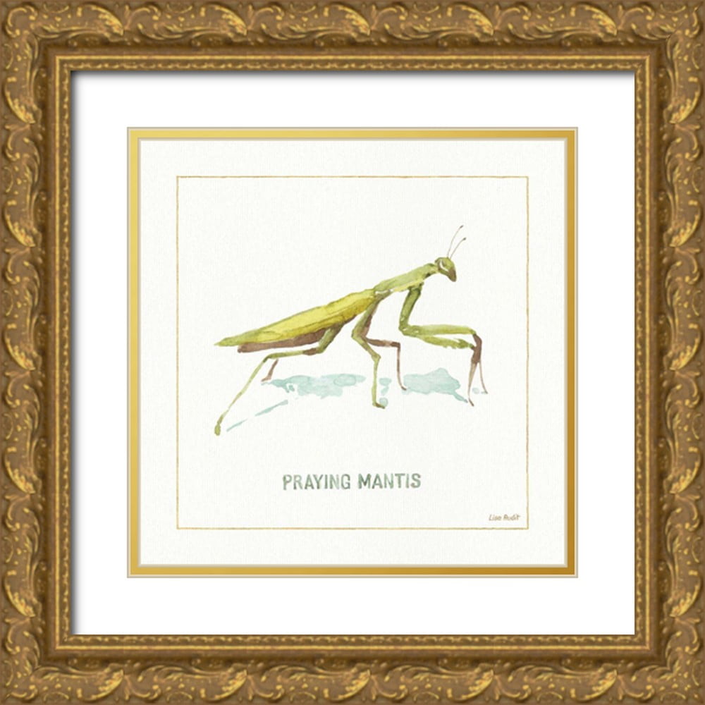 Audit, Lisa 15x15 Gold Ornate Wood Framed with Double Matting Museum ...