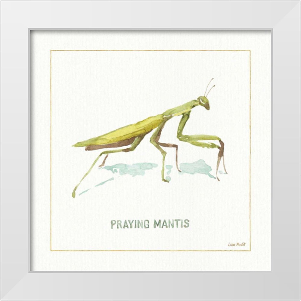 Audit, Lisa 15x15 White Modern Wood Framed Museum Art Print Titled - My ...