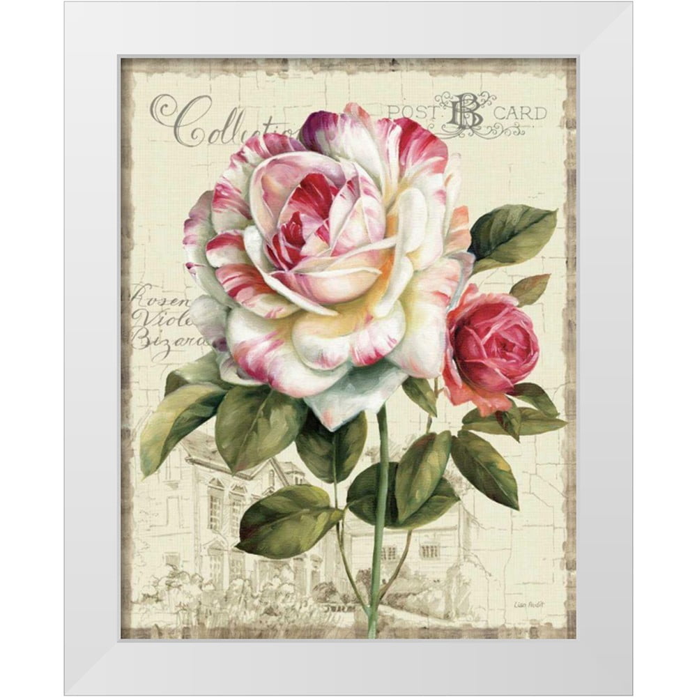 Audit, Lisa 15x18 White Modern Wood Framed Museum Art Print Titled - Garden View III - Rose ...