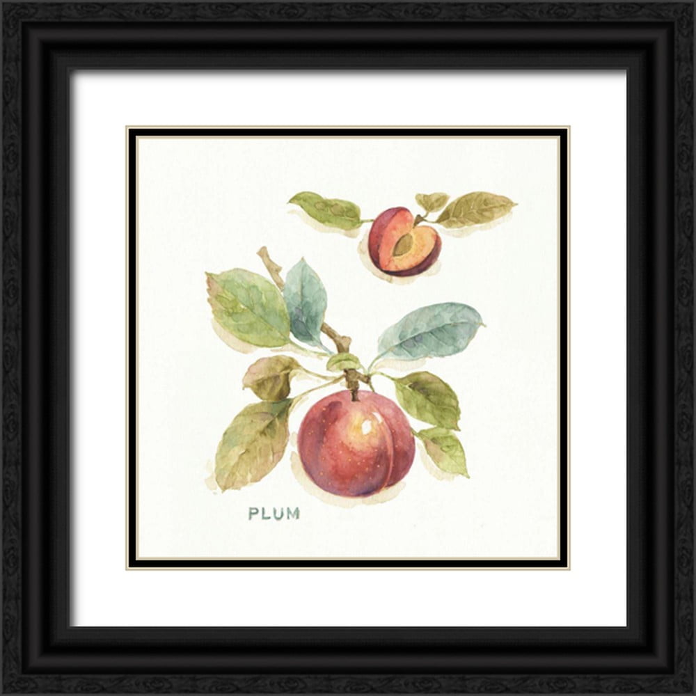 Audit, Lisa 20x20 Black Ornate Wood Framed with Double Matting Museum Art Print Titled - Orchard ...