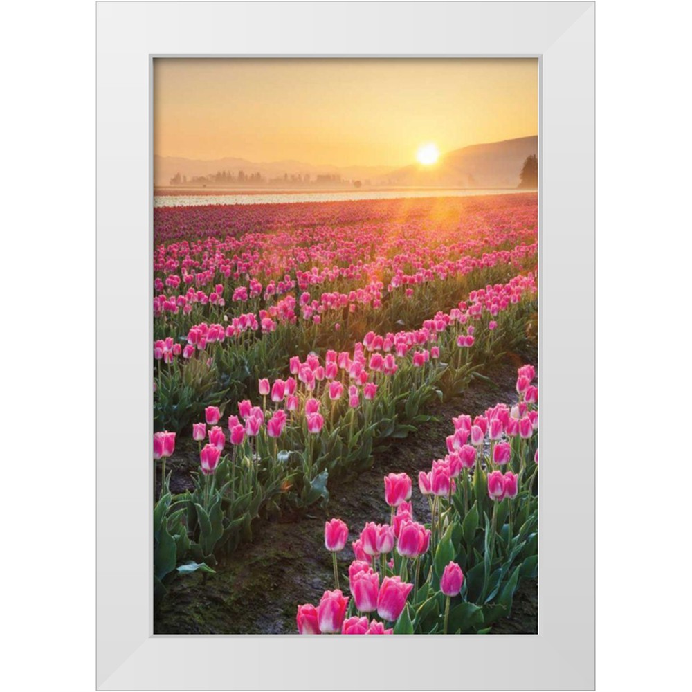 Audit, Lisa 23x32 White Modern Wood Framed Museum Art Print Titled ...